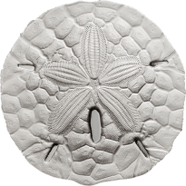 Silver Numis Sand Dollar 2017 1 oz | Silver Bullion