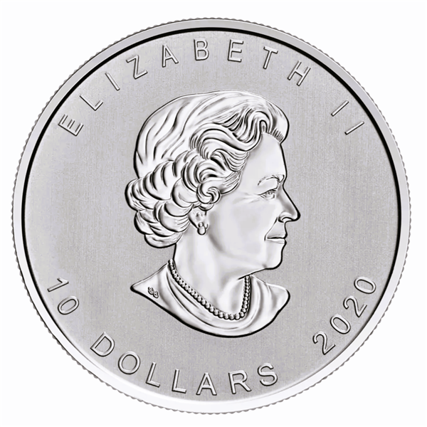 Silver Coin Canada Goose (Random Year) - 2 oz | Silver Bullion