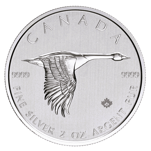 Silver Coin Canada Goose (Random Year) - 2 oz | Silver Bullion